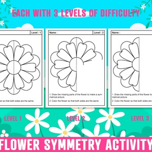 Flower Symmetry Worksheet, Flower Theme Lines of Symmetry Activity, 24 ...