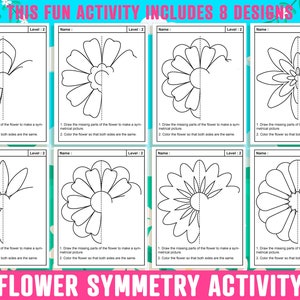 Flower Symmetry Worksheet, Flower Theme Lines of Symmetry Activity, 24 ...