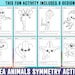 Sea Animals Symmetry Worksheet, Sea Animals Theme Lines of Symmetry ...