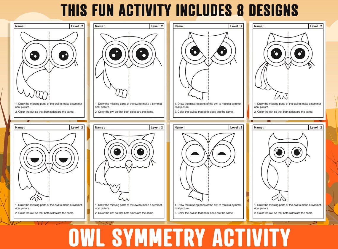 Owl Symmetry Worksheet, Owl Theme Lines of Symmetry Activity, 24 Pages ...