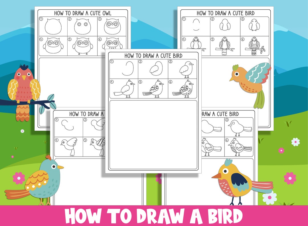 Learn How to Draw a Cute Bird and Owl, Directed Drawing Step by Step ...