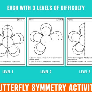 Flowers and Butterflies Line of Symmetry, Spring / Summer Butterfly ...