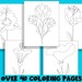 Flowers Leaves Coloring Book, 40 Printable Coloring Pages for Kids a ...