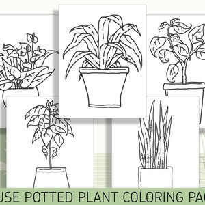 House Potted Plants Coloring Pages: 15 Fun and Relaxing Activity Sheets ...