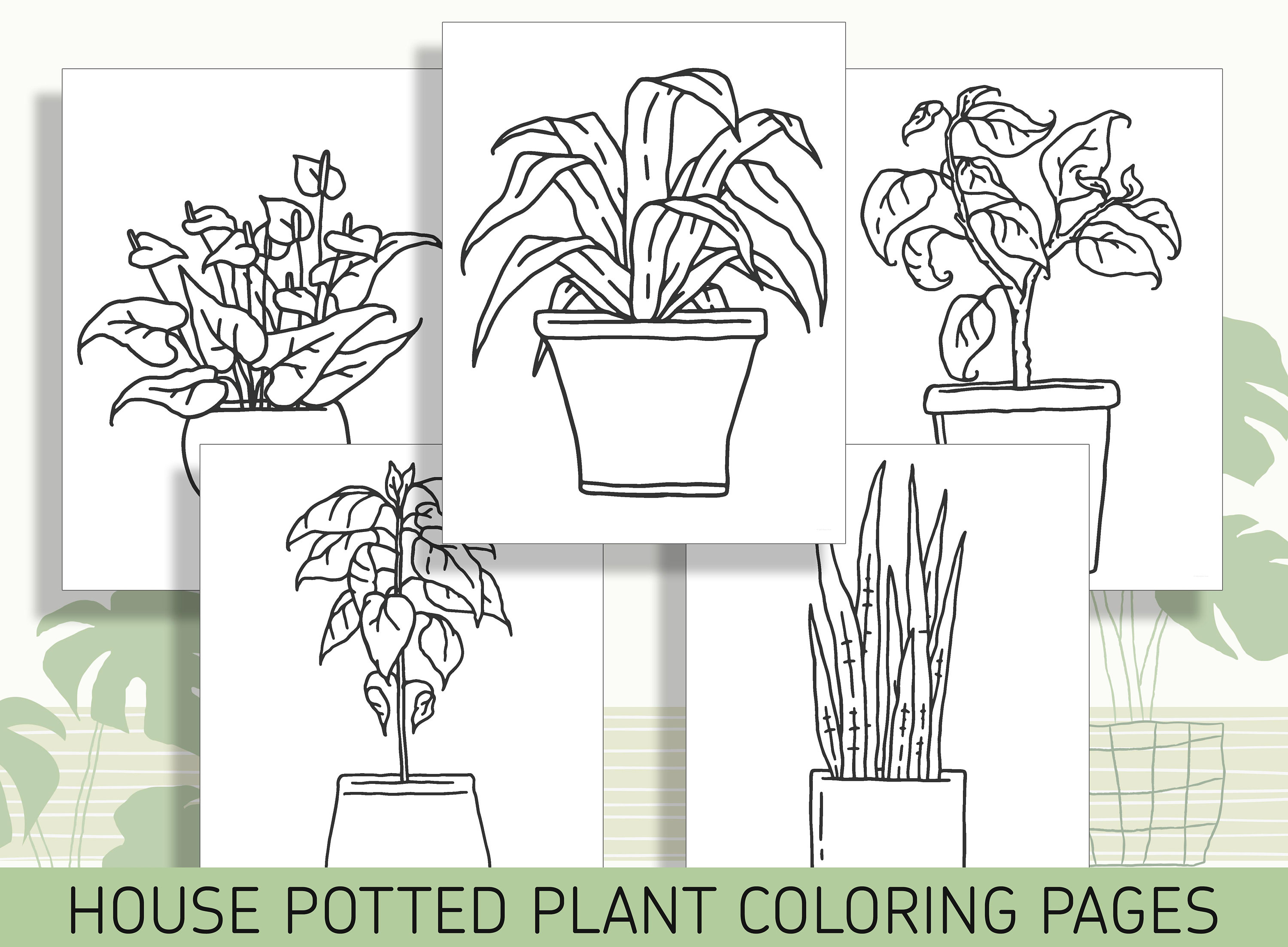 House Potted Plants Coloring Pages: 15 Fun and Relaxing Activity Sheets ...