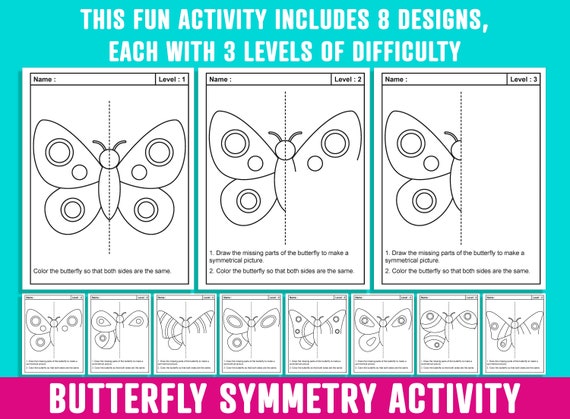 Butterfly Symmetry Activity Butterflies Line of Symmetry - Etsy