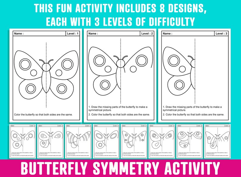 Butterfly Symmetry Activity, Butterflies Line of Symmetry Activity, 24 ...