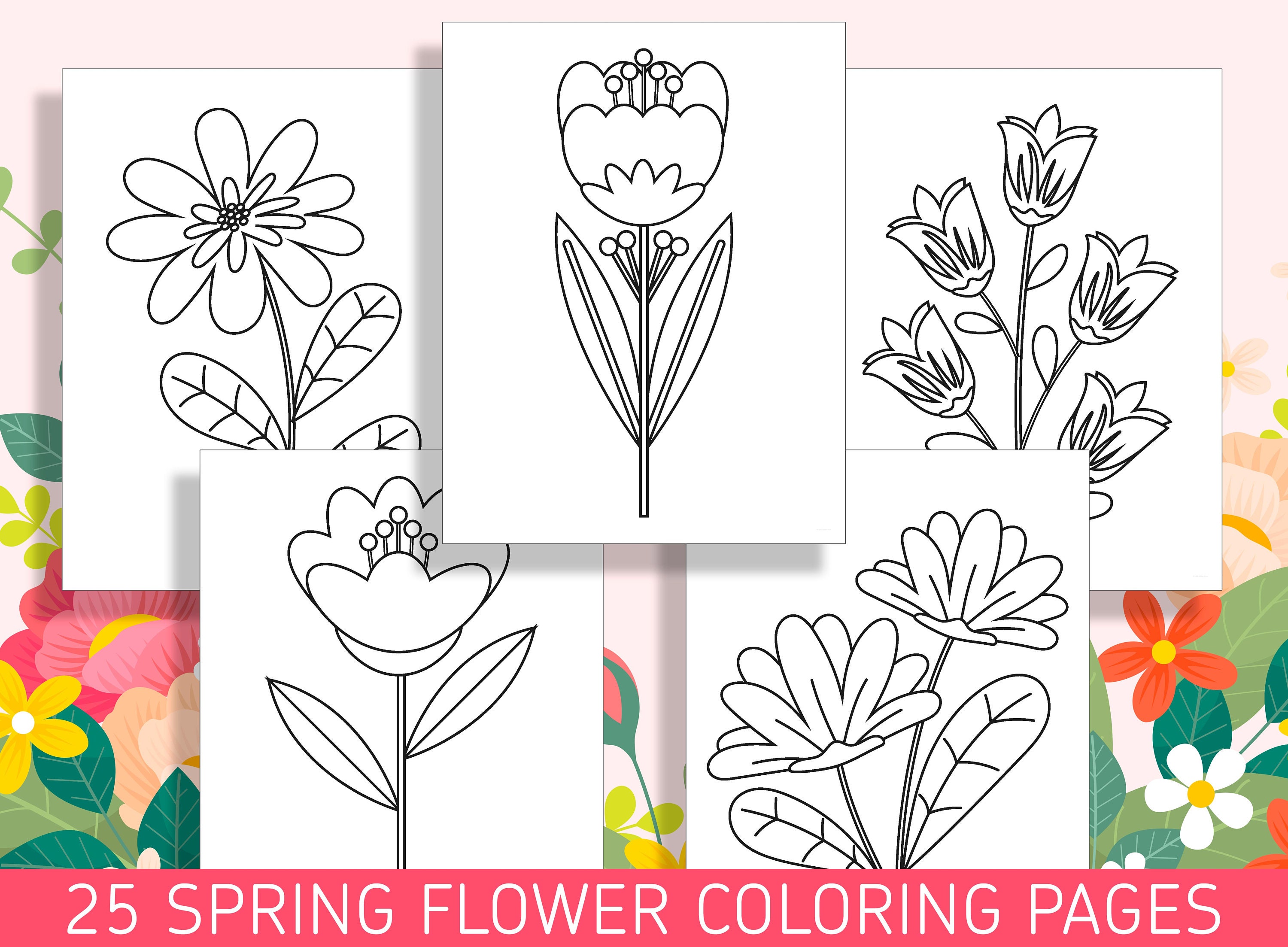 Spring Into Color: 25 Flower Coloring Sheets for Preschool and ...