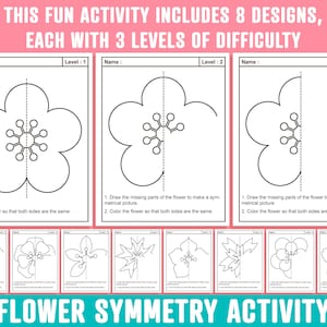 Flower Symmetry Worksheet, Sakura Flower Theme Lines of Symmetry ...