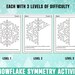 Snowflake Symmetry Worksheet, Snowflake Theme Lines of Symmetry ...