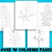 Flowers Leaves Coloring Book, 40 Printable Coloring Pages for Kids a ...