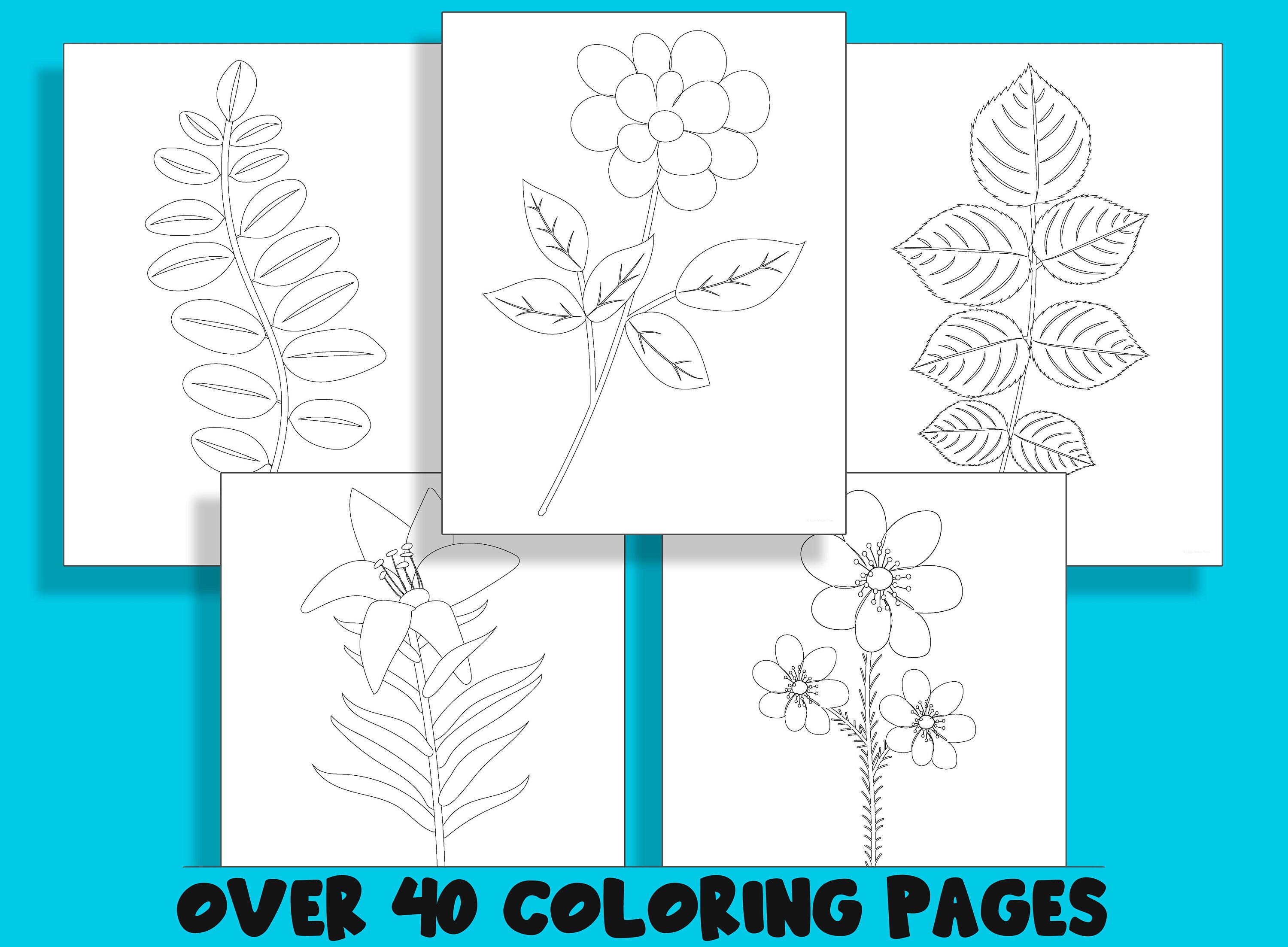 Flowers Leaves Coloring Book, 40 Printable Coloring Pages for Kids a ...