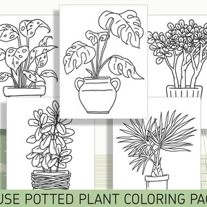 House Potted Plants Coloring Pages: 15 Fun and Relaxing Activity Sheets ...