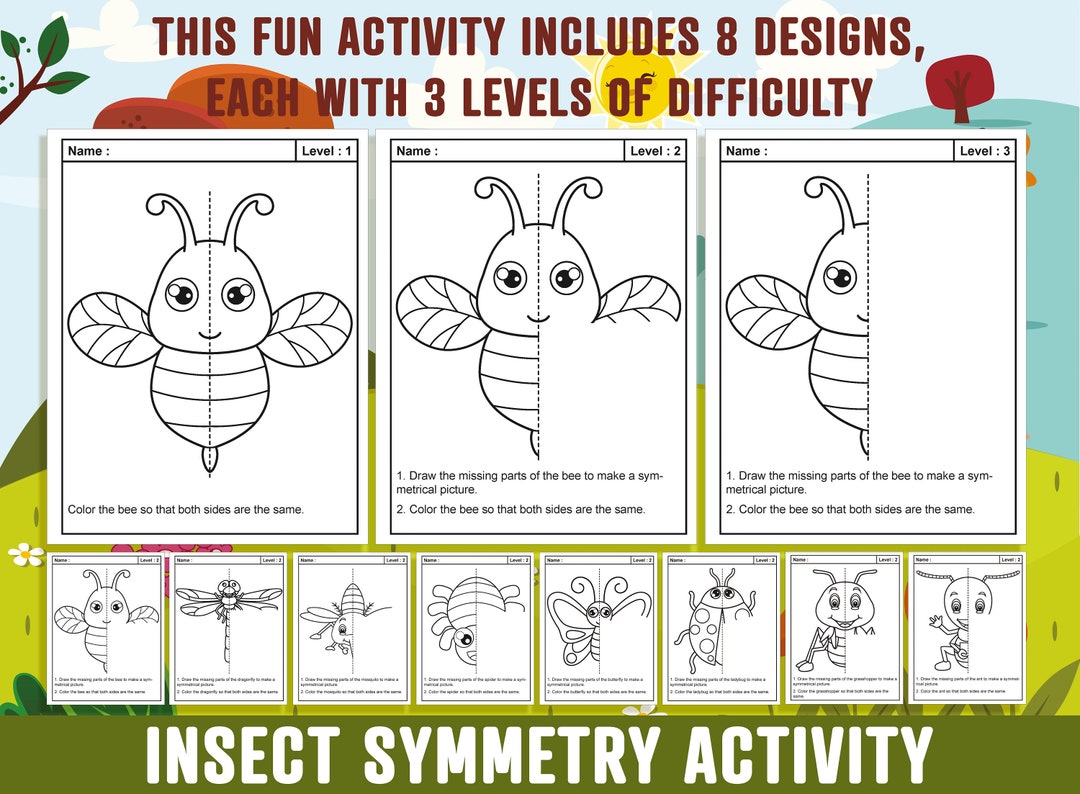 Insect Symmetry Worksheet, Insect Theme Lines of Symmetry Activity, 24 ...