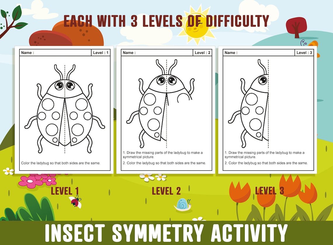 Insect Symmetry Worksheet, Insect Theme Lines of Symmetry Activity, 24 ...