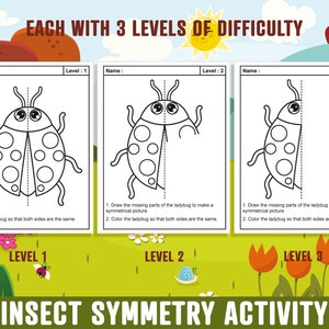 Insect Symmetry Worksheet, Insect Theme Lines of Symmetry Activity, 24 ...