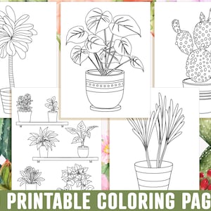 20 Adorable Houseplant Coloring Pages: Delightful Succulents, Cactus ...