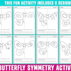 Butterfly Symmetry Activity, Butterflies Line of Symmetry Activity, 24 ...
