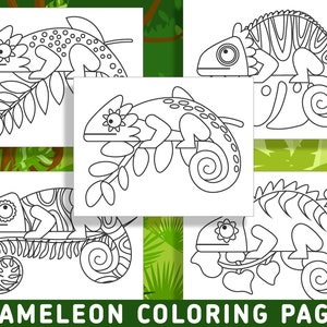 Chameleon Coloring Pages: 15 Fun and Creative Sheets, Perfect for ...