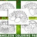 Chameleon Coloring Pages: 15 Fun and Creative Sheets, Perfect for ...