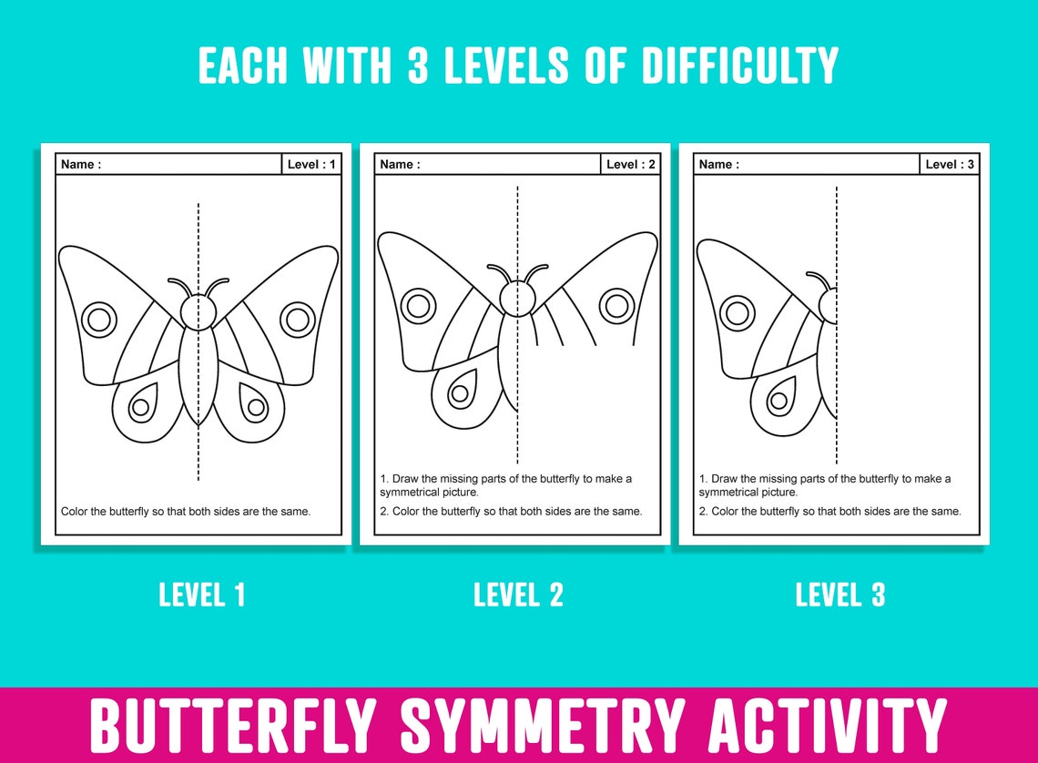Butterfly Symmetry Activity Butterflies Line of Symmetry - Etsy