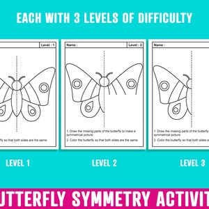 Butterfly Symmetry Activity, Butterflies Line of Symmetry Activity, 24 ...