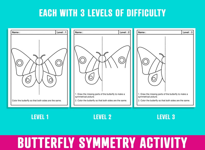 Butterfly Symmetry Activity, Butterflies Line of Symmetry Activity, 24 ...