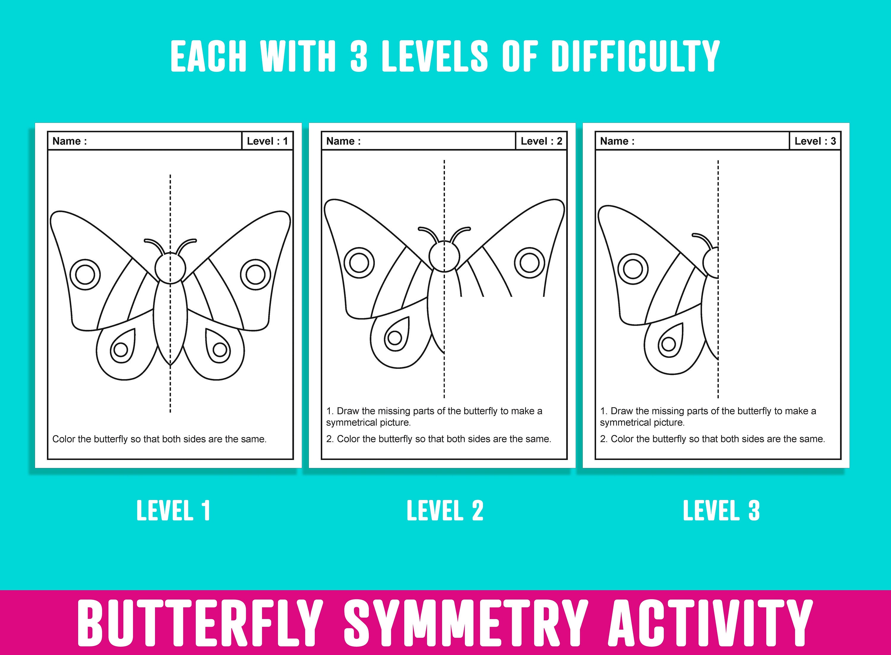 Butterfly Symmetry Activity, Butterflies Line of Symmetry Activity, 24 ...