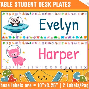 Student Desk Plates, 30 Printable/editable Space Animals Classroom Name ...