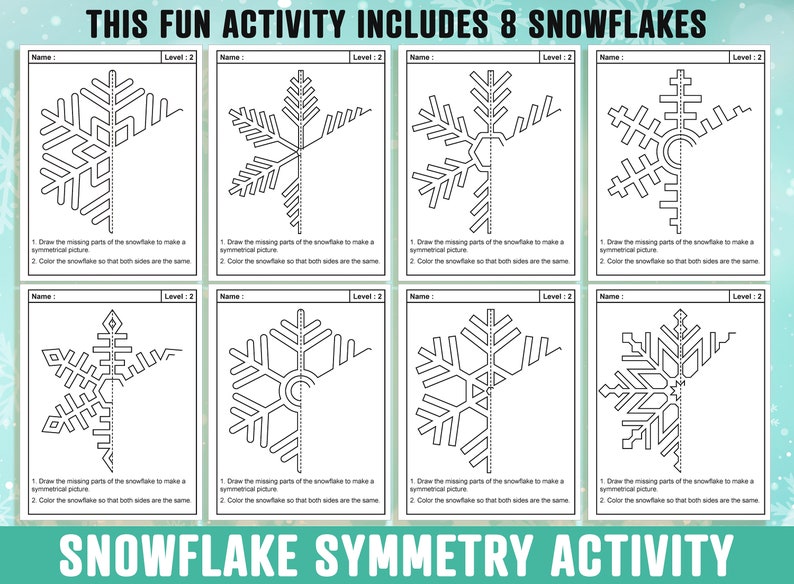 Snowflake Symmetry Worksheet, Snowflake Theme Lines of Symmetry ...