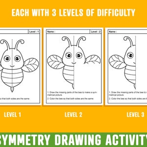 Symmetry Drawing, Lines of Symmetry Activity, 24 Pages/8 Designs, Each ...