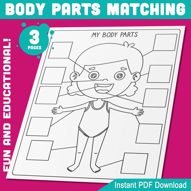 Parts of the Body - Etsy