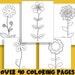 Spring Flowers Coloring Book, 40 Printable Coloring Pages for Kids a ...