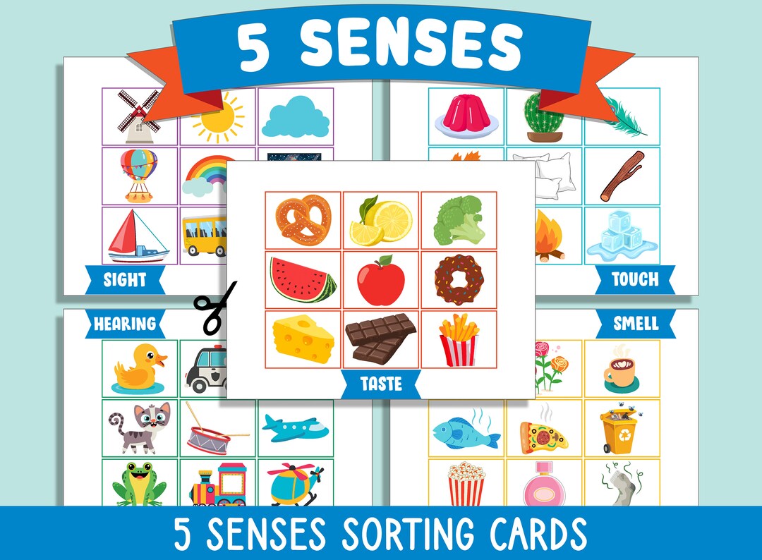 Five Senses Sorting Set for Preschool, Pre-k, and Kindergarten ...