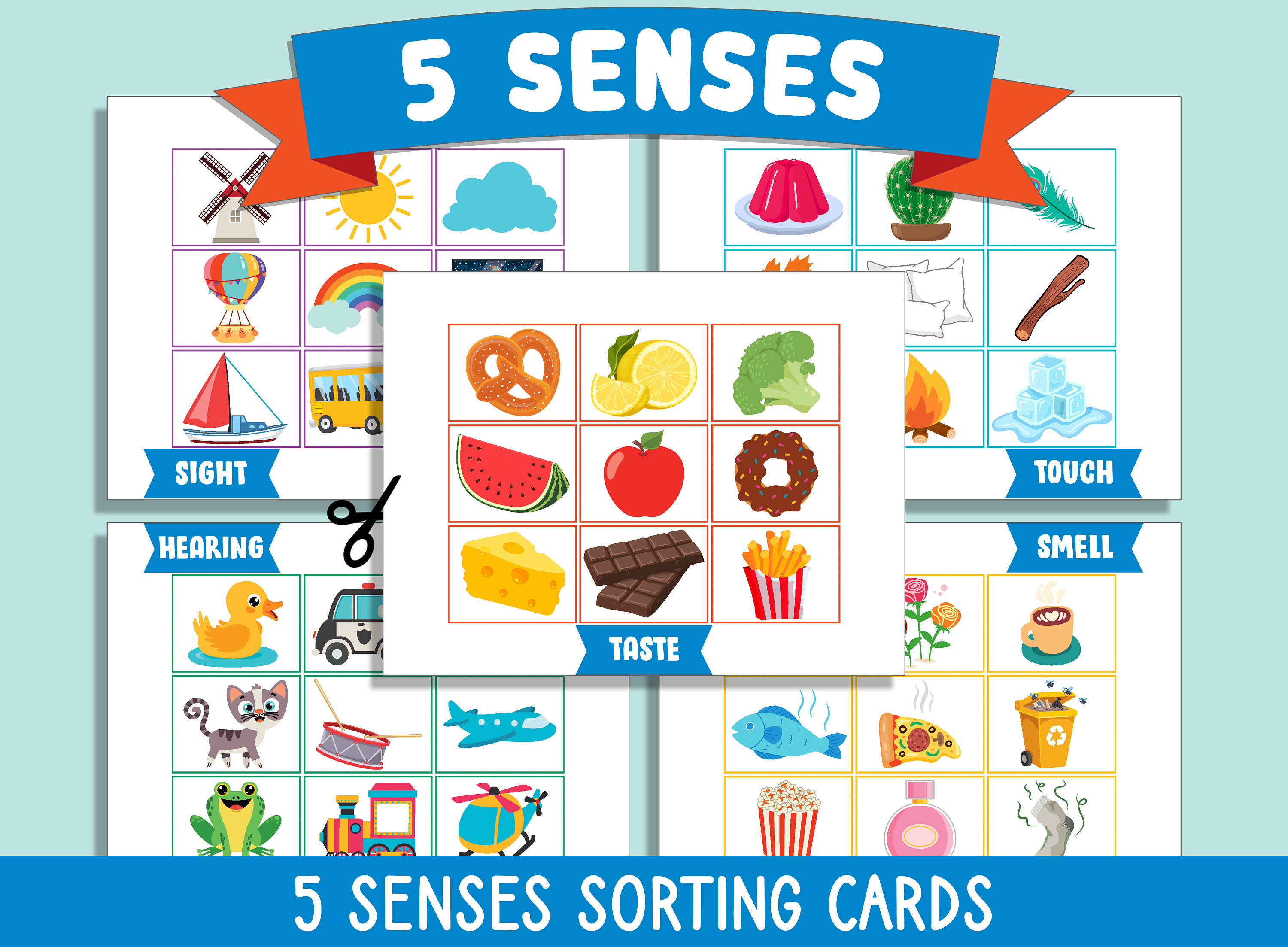 Five Senses Sorting Set for Preschool, Pre-k, and Kindergarten ...