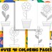 Summer Flowers in Pots Coloring Book, 40 Printable Flower Coloring ...
