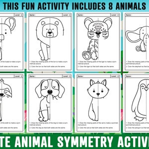 Cute Animal Symmetry Worksheet, Cute Animal Theme Lines of Symmetry ...