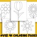 Spring Flowers Coloring Book, 40 Printable Coloring Pages for Kids a ...
