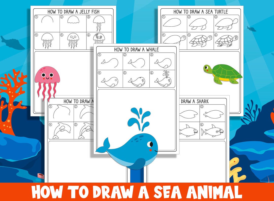 Learn How to Draw a Sea Animal (whale, Shark, Dolphin, Jelly Fish, Sea ...