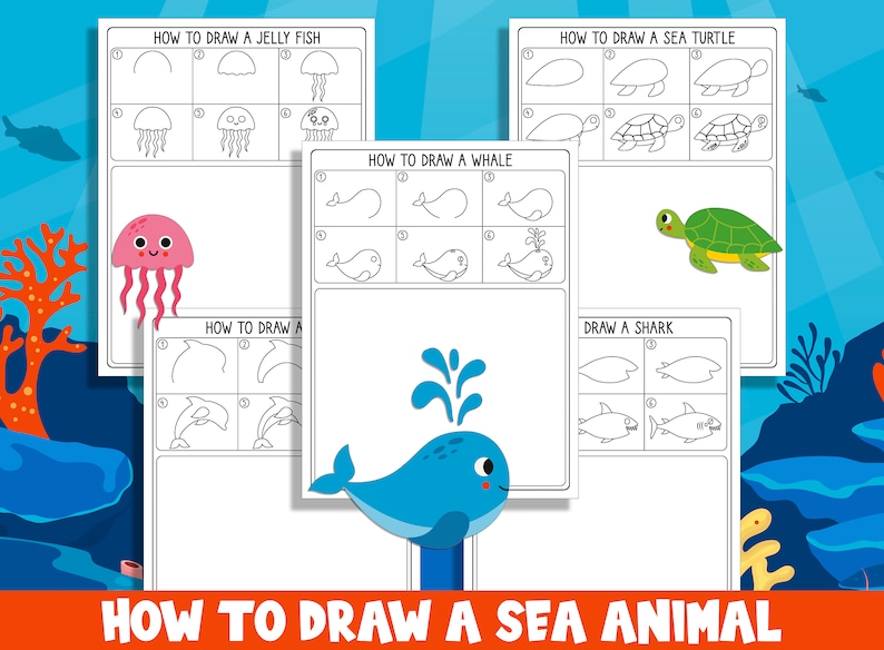 Learn How to Draw a Sea Animal (whale, Shark, Dolphin, Jelly Fish, Sea ...