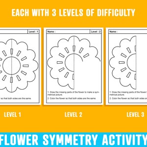 Flower Activities, Lines of Symmetry, Spring/summer Flower Symmetry ...