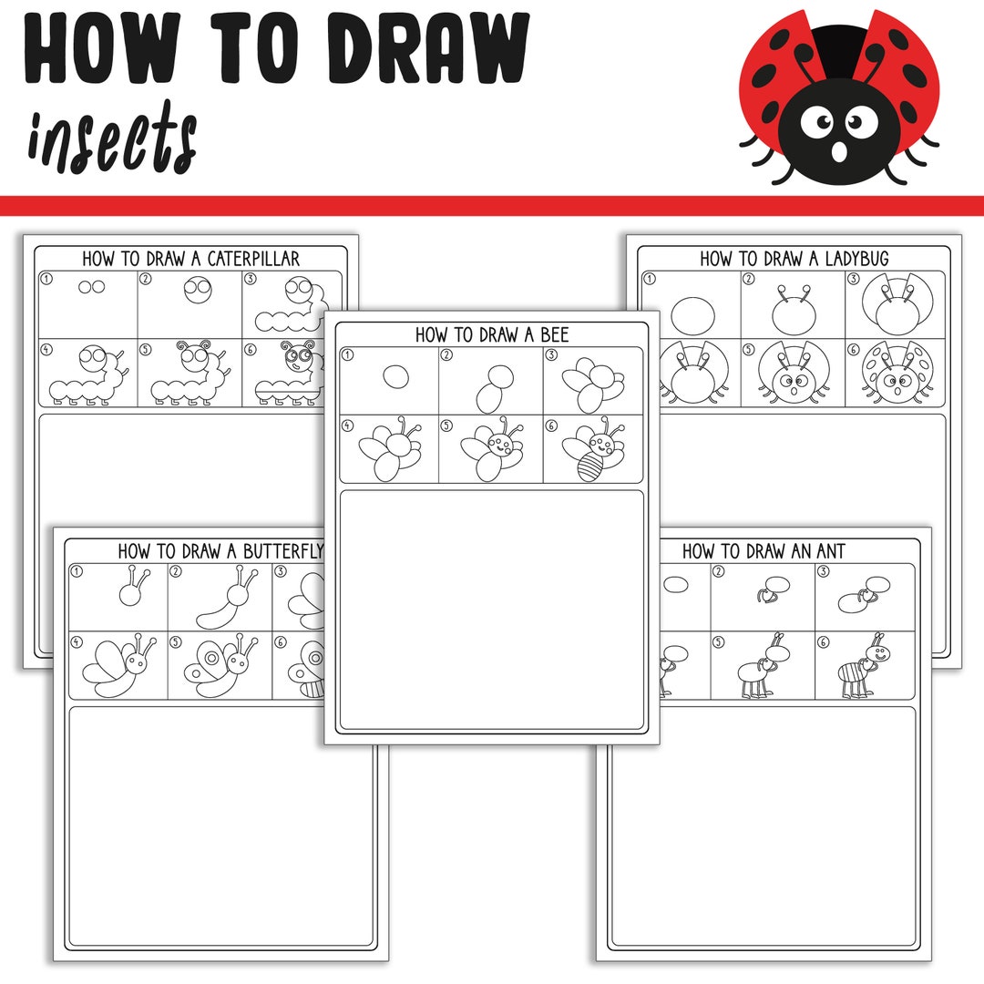 How to Draw Insects Easy (bee, Butterfly, Ant, Caterpillar, Ladybug ...