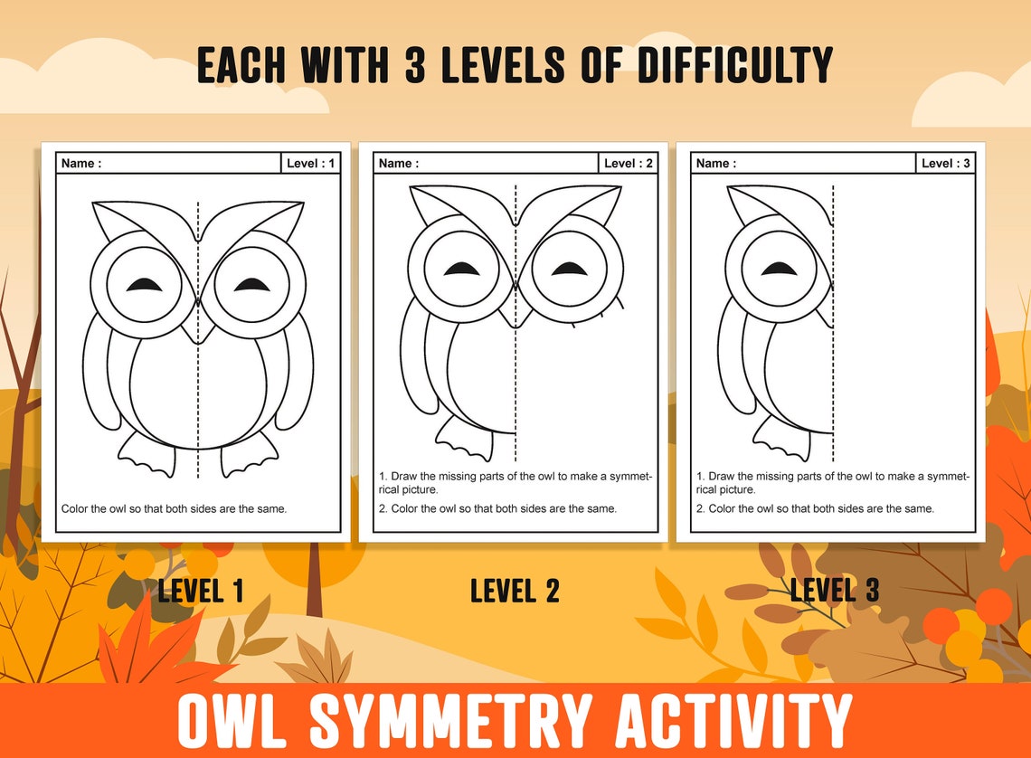 Owl Symmetry Worksheet, Owl Theme Lines of Symmetry Activity, 24 Pages ...