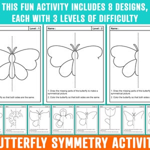 Flowers and Butterflies Line of Symmetry, Spring / Summer Butterfly ...