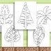 25 Beautiful Tree Coloring Pages for Preschool and Kindergarten, PDF ...