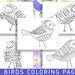 Cute Bird Coloring Pages: 25 Charming Designs for Kids and Adults, Fun ...