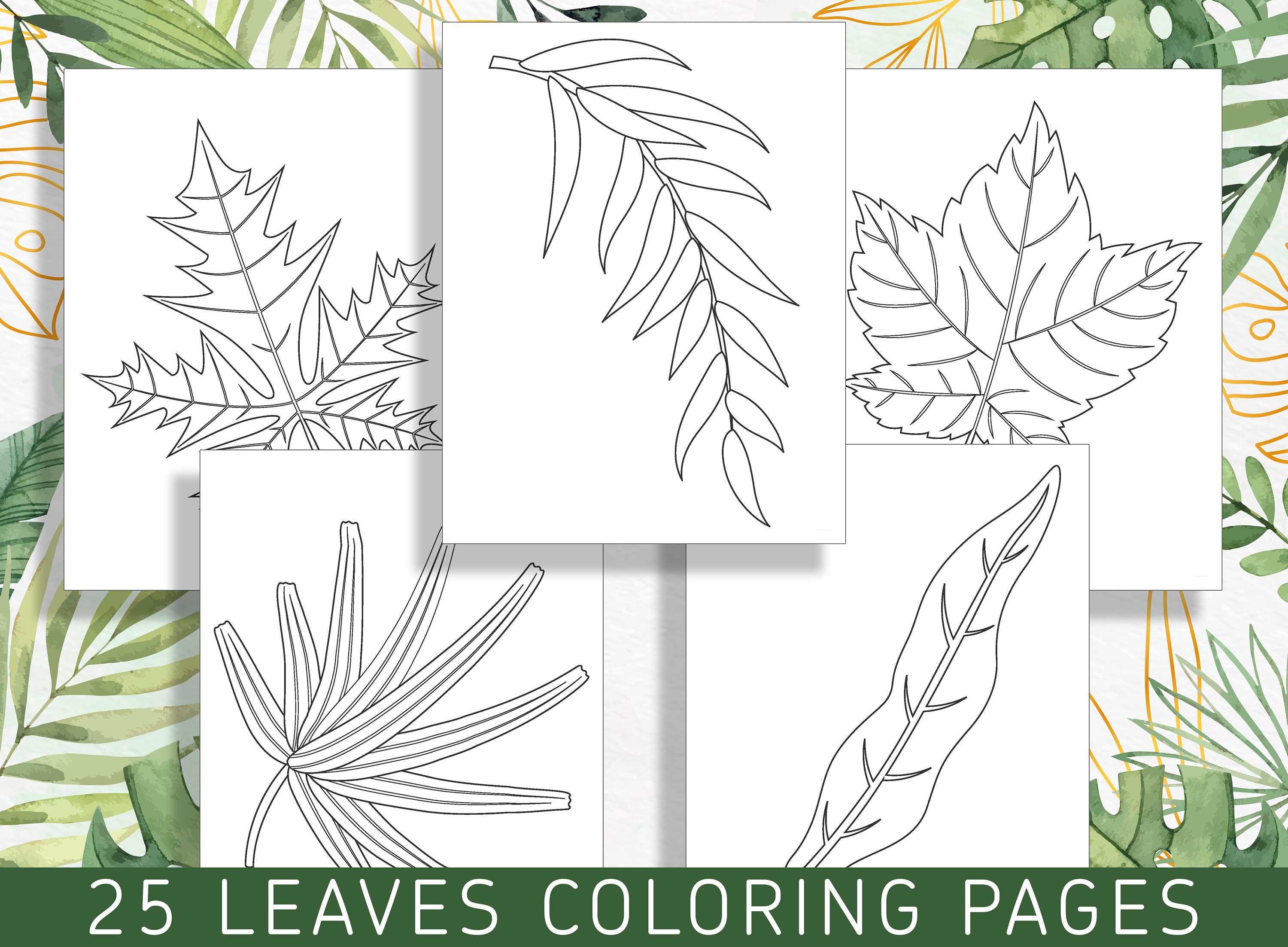 Leaf Coloring Pages: 25 Exquisite Coloring Book Designs for Stress ...