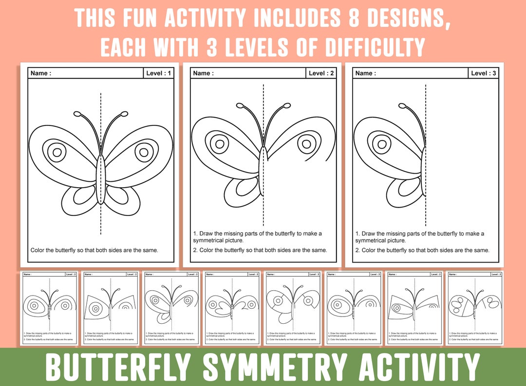 Butterfly Symmetry Activity, Butterflies Line of Symmetry Activity, 24 ...