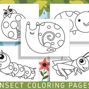 Insect Coloring Pages: 25 Fun Coloring Book Designs, Perfect for Insect ...