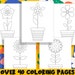 Summer Flowers in Pots Coloring Book, 40 Printable Flower Coloring ...